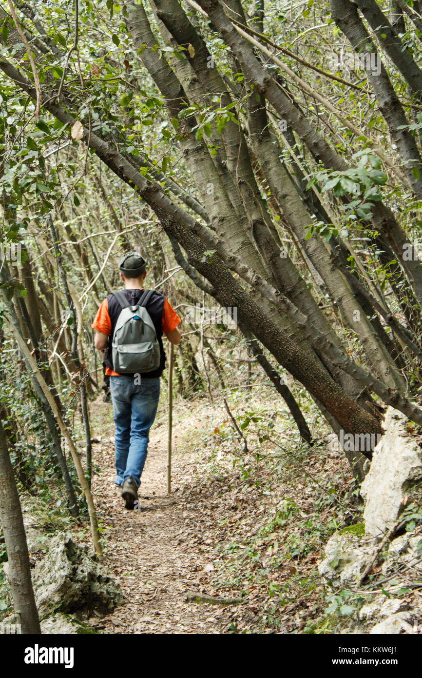 A man walking on a trail through the forest green Stock Photo - Alamy