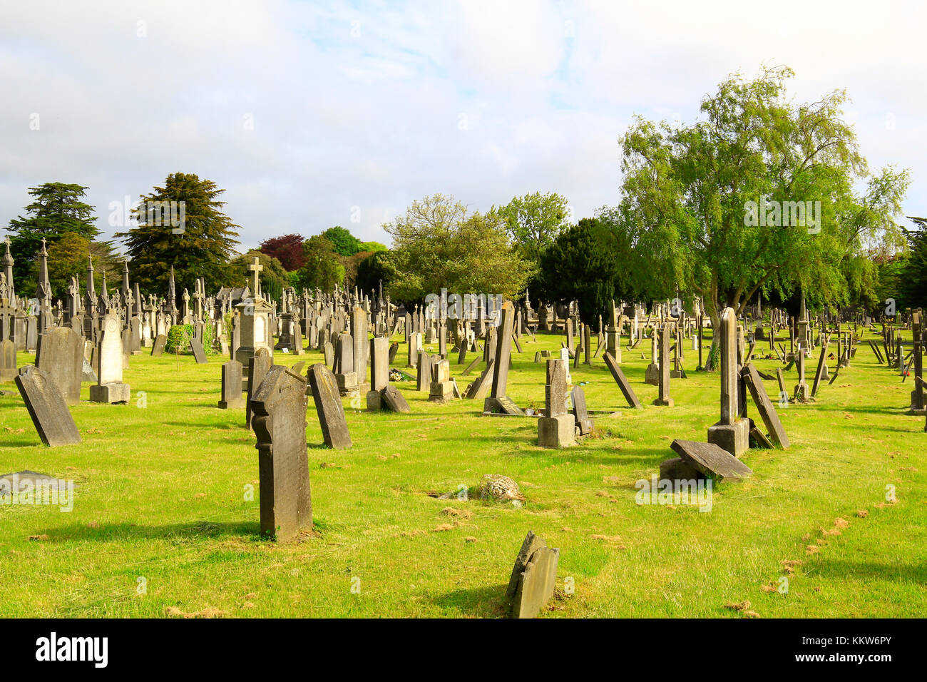 landscape of Irish cemetery full of stones of the Gothic period ...