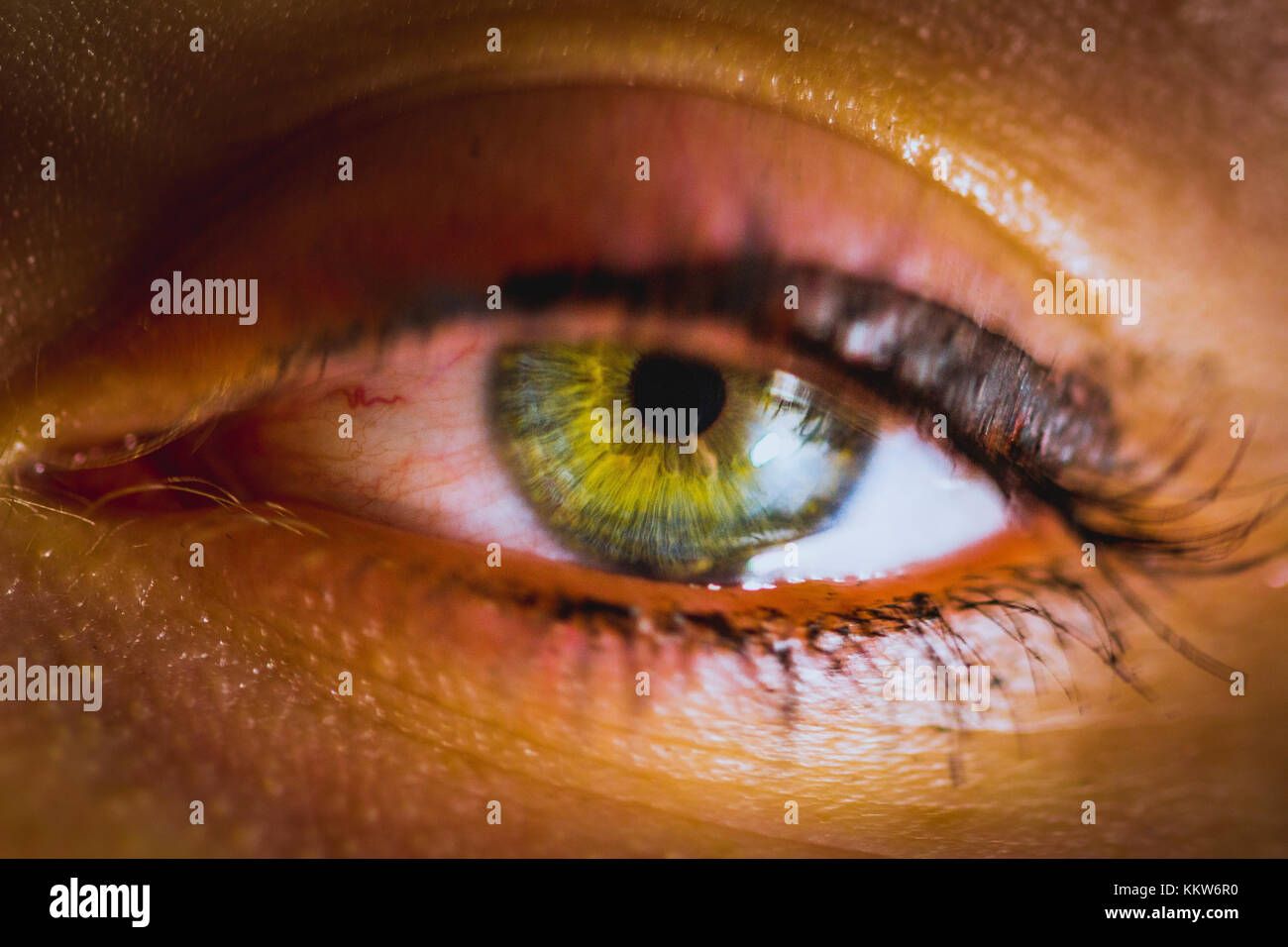 A beautiful green eye photographed at close Stock Photo - Alamy