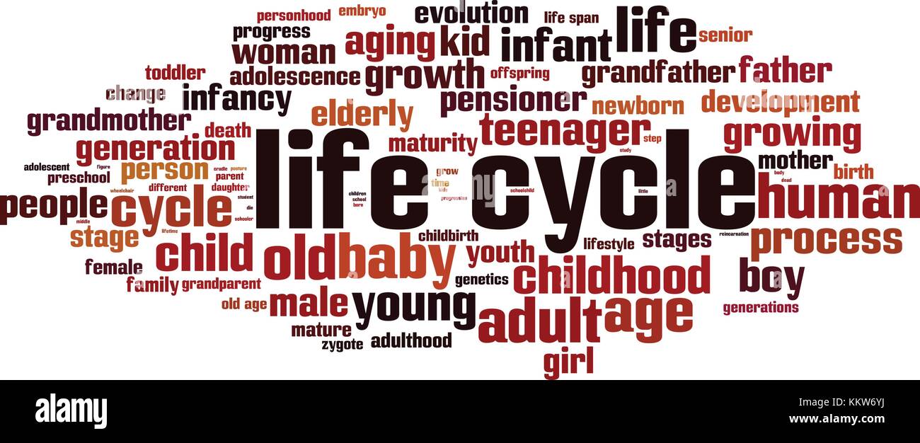 Life cycle word cloud concept. Vector illustration Stock Vector Image ...