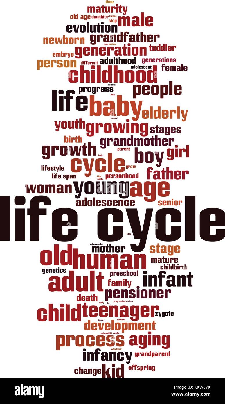 Life cycle word cloud concept. Vector illustration Stock Vector Image ...