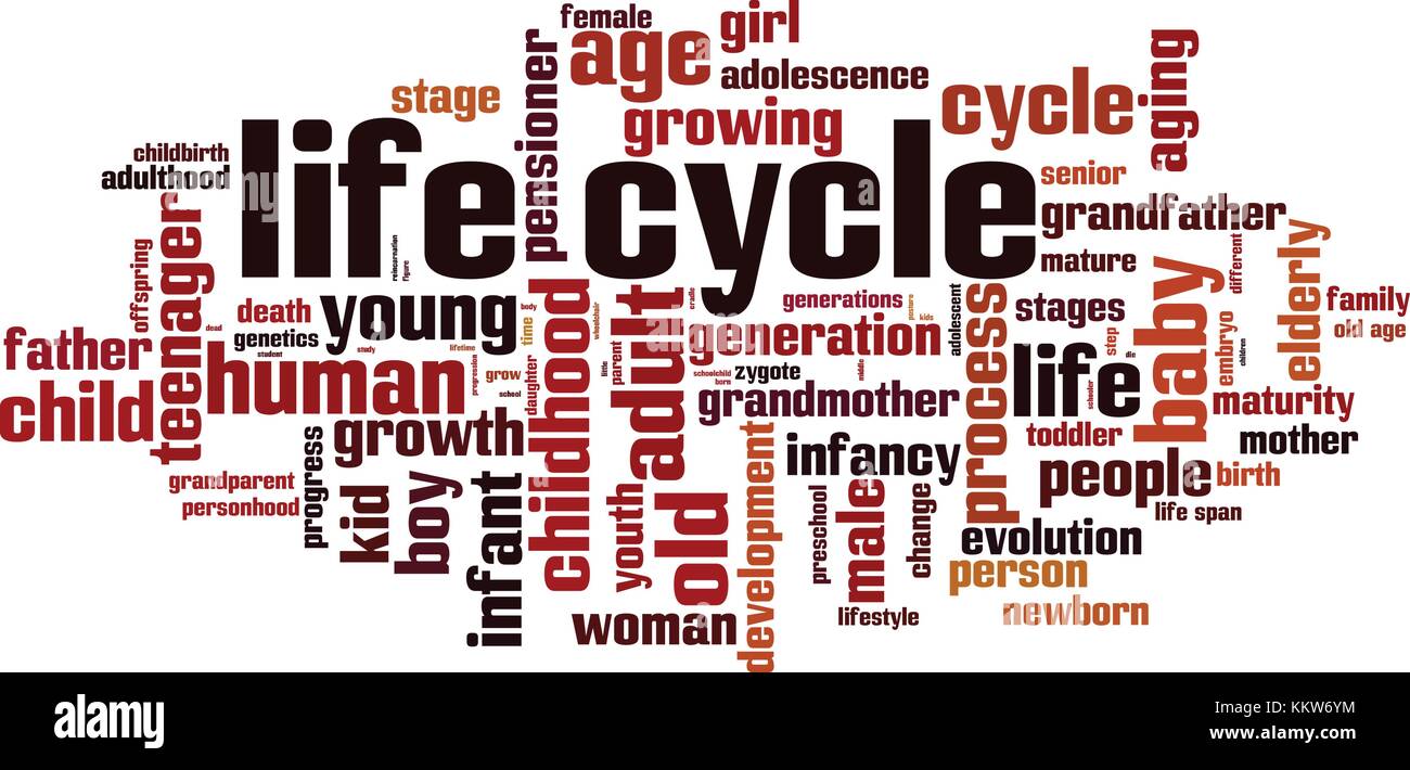 Life cycle word cloud concept. Vector illustration Stock Vector Image ...