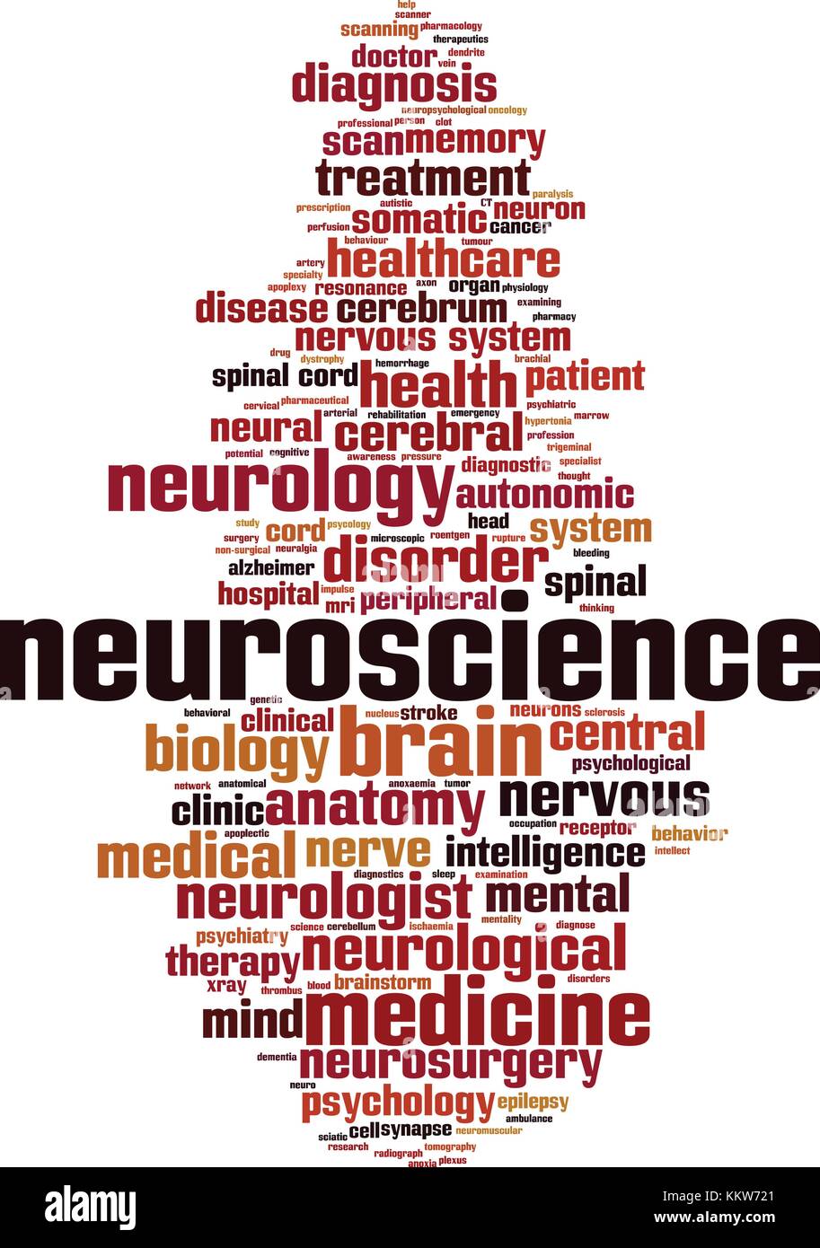 Autonomic Nervous System Stock Photos & Autonomic Nervous System Stock ...