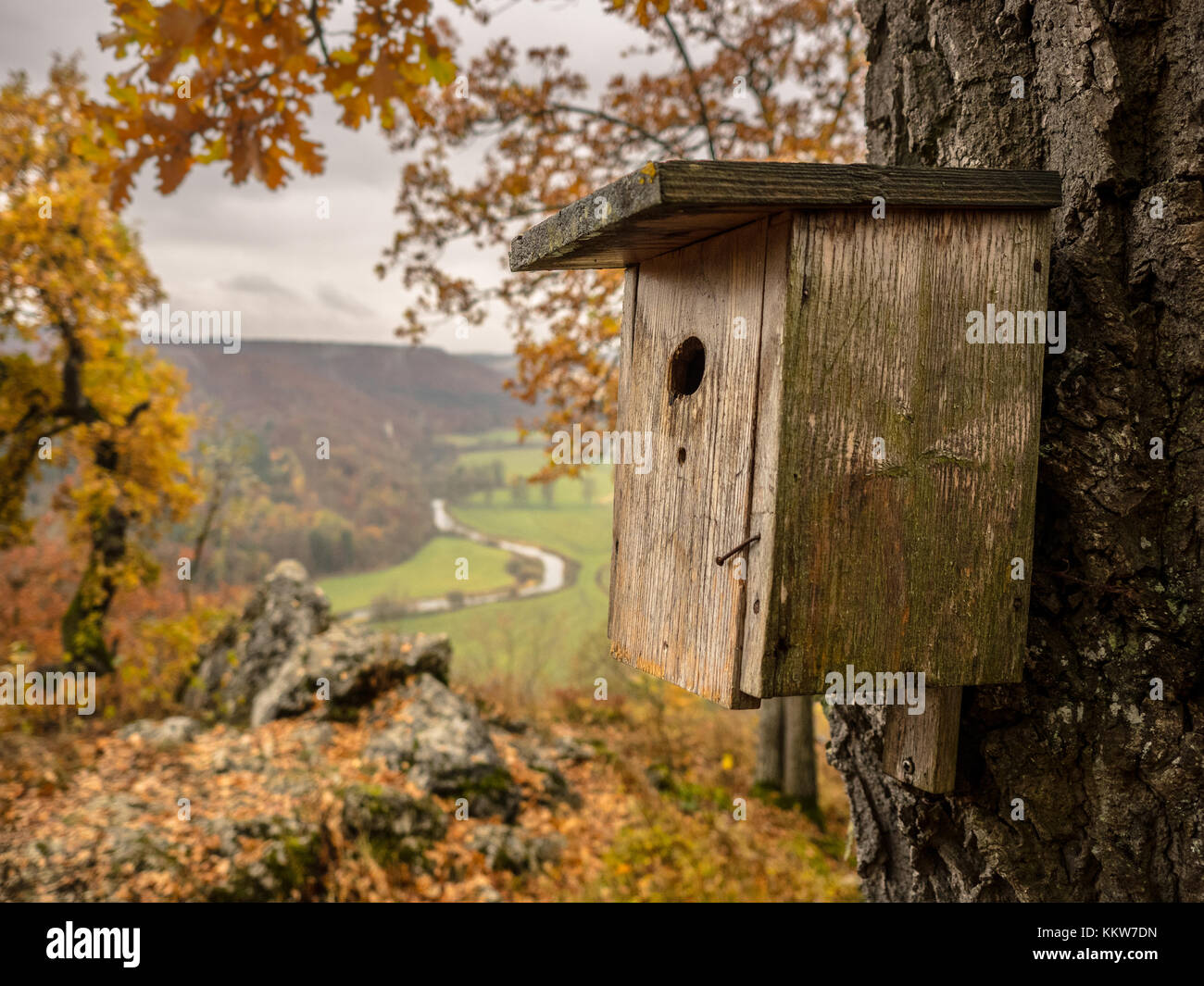 Panorama bird house birdhouse hi-res stock photography and images - Alamy