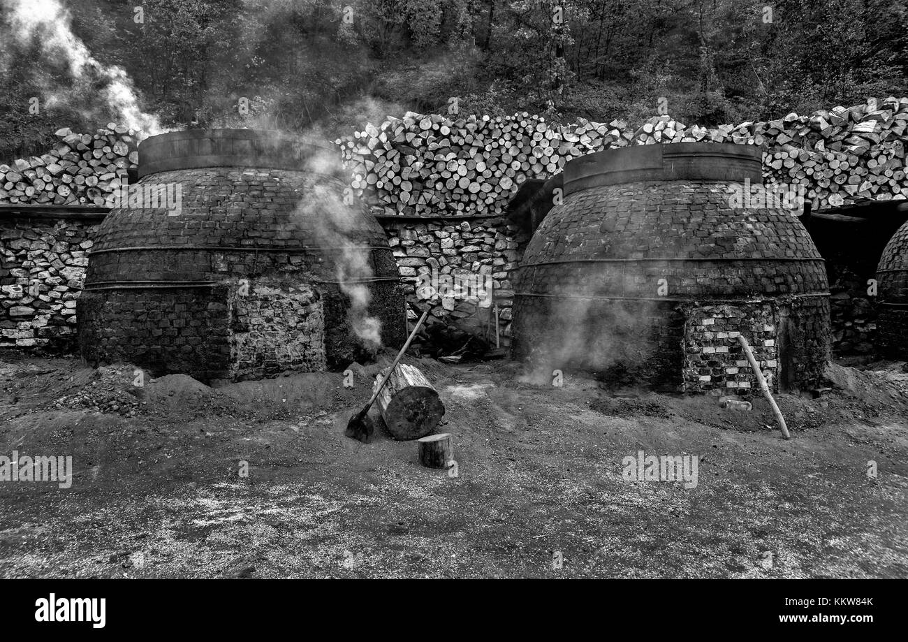 The production of charcoal in a traditional manner in the forest Stock ...