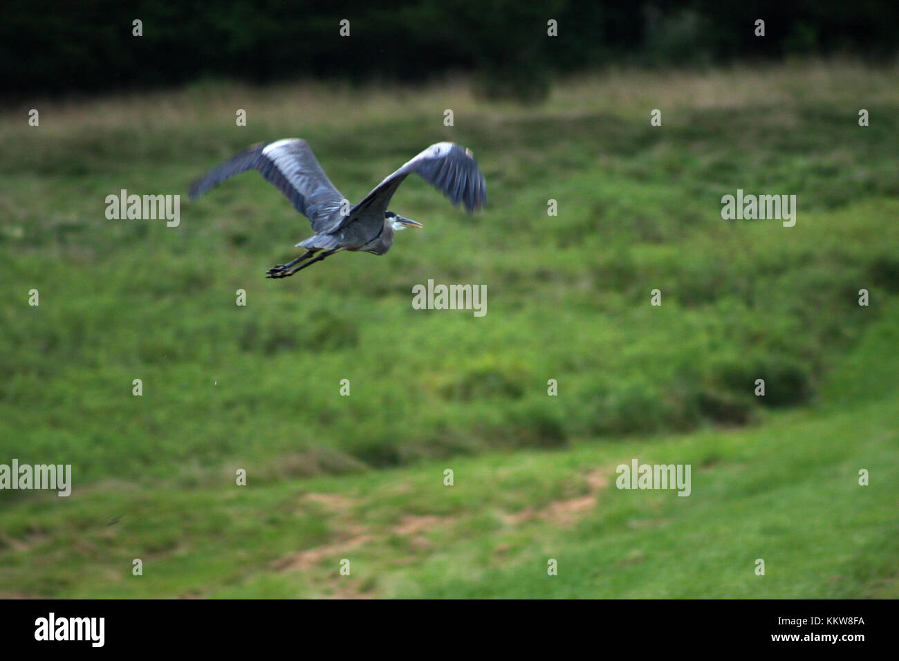 Fly over water and land hi-res stock photography and images - Alamy