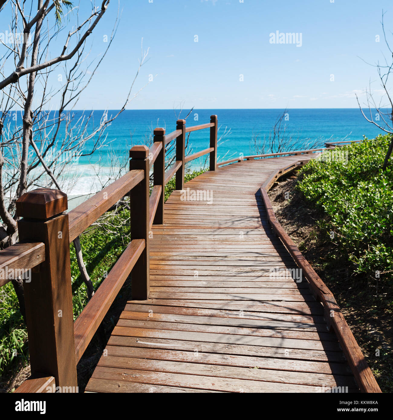 in australia the walkway to the beach of Hervey Bay Fraser Island like ...