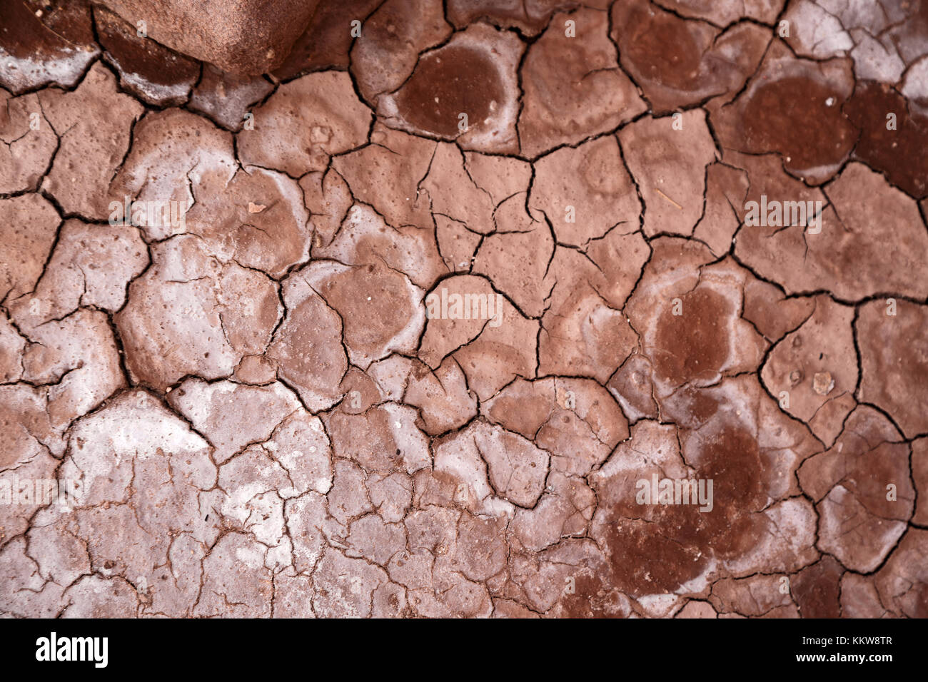 in the desert the dry ground like background texture Stock Photo - Alamy