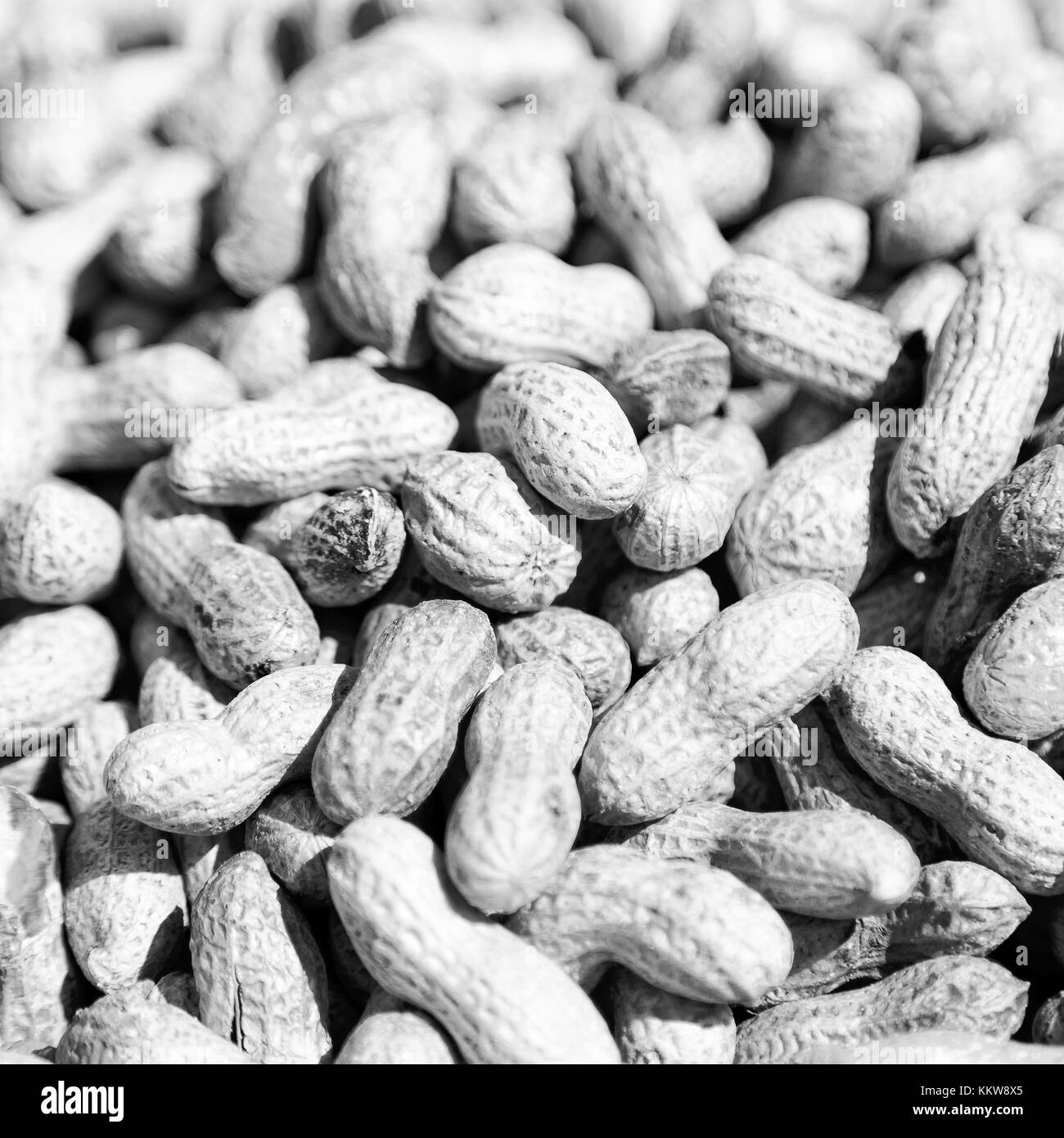 in the market lots of peanuts like concept of healthy food and snack ...