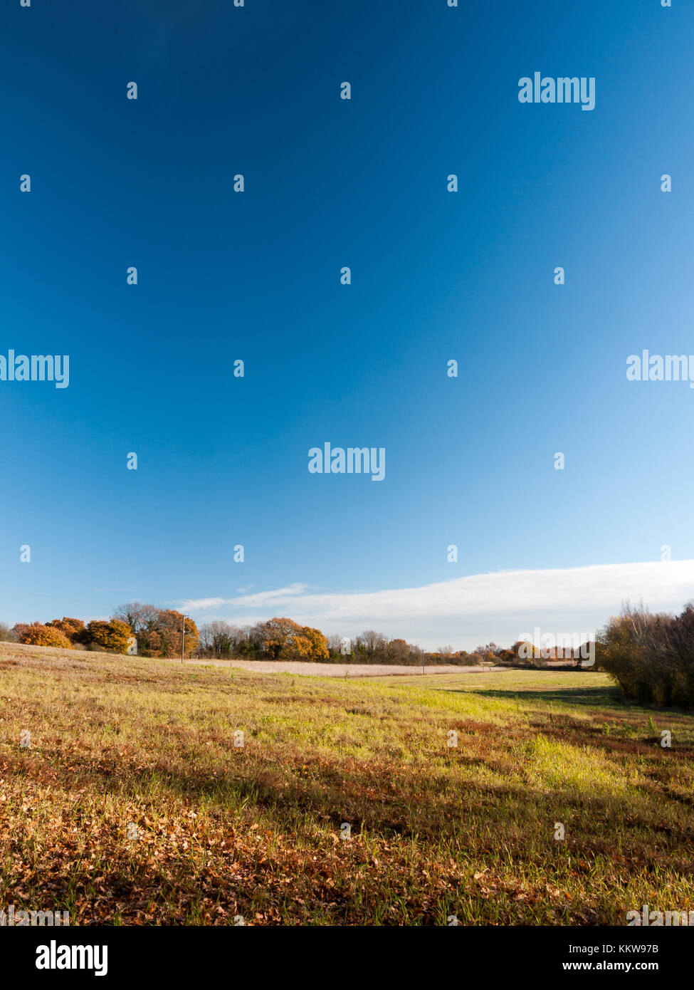 empty open grass land farm land scene plain agriculture blue sky clear ...