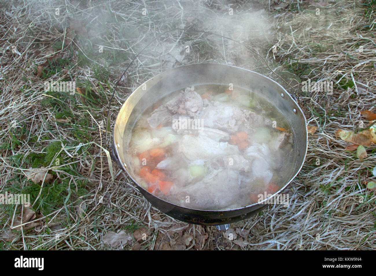 Lamb with pepper and onions much fat. Cooked in cauldron (bishbarmak ...