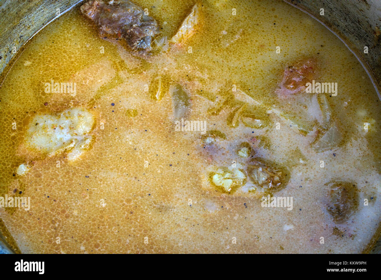 Lamb with pepper and onions much fat. Cooked in cauldron (bishbarmak ...