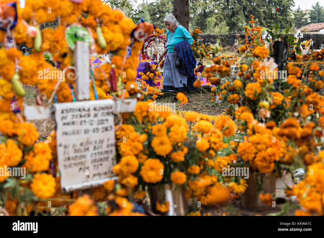 An elderly Purepecha indigenous woman walks through the cemetery ...