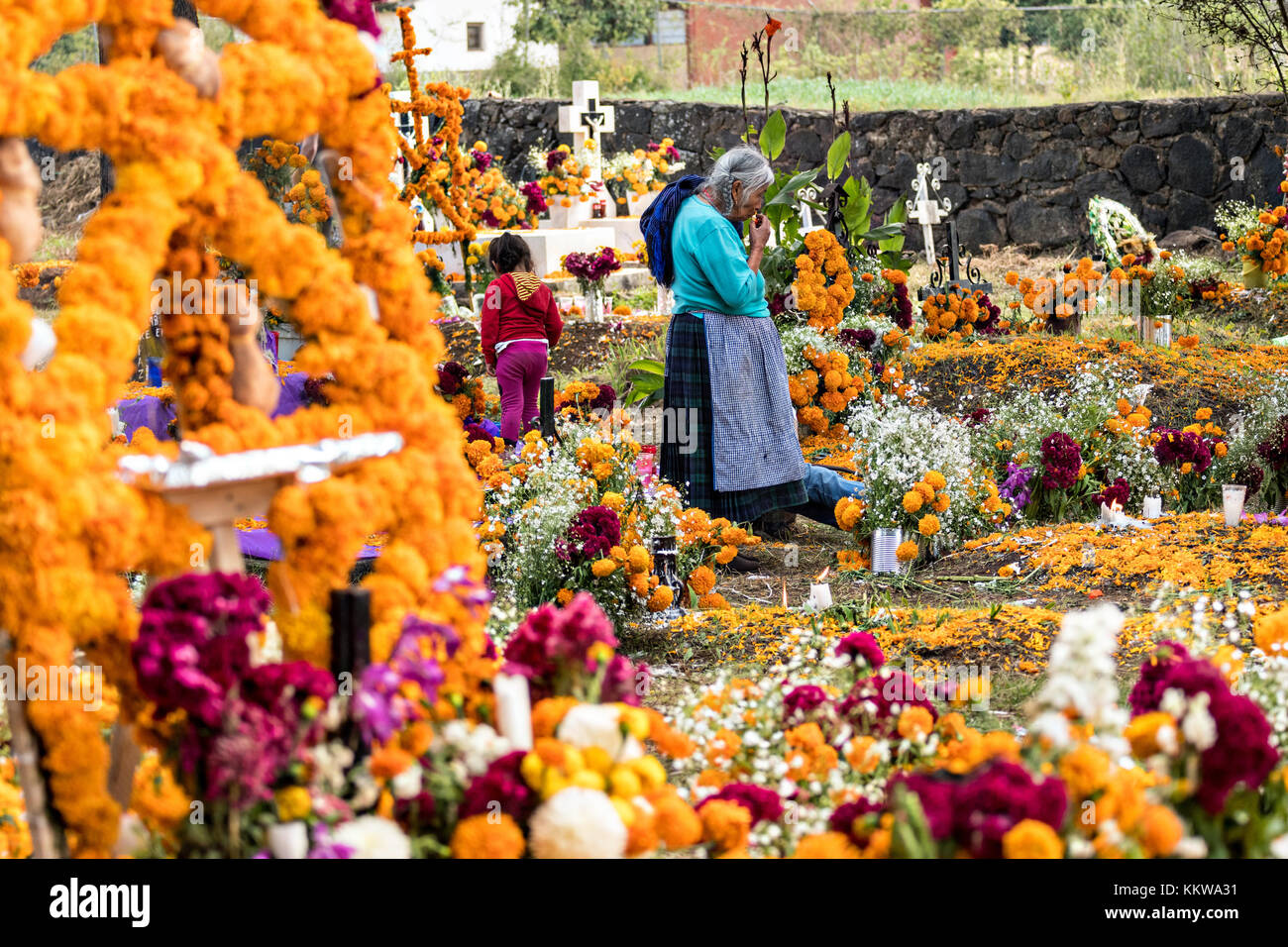 An elderly Purepecha indigenous woman walks through the cemetery ...
