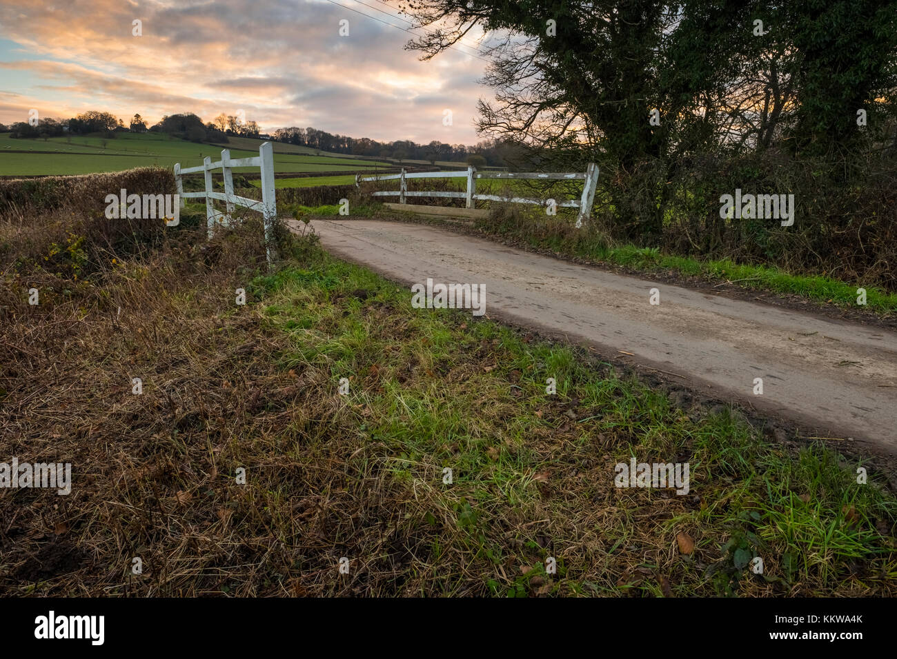 evening light on a country road in the uk Stock Photo - Alamy