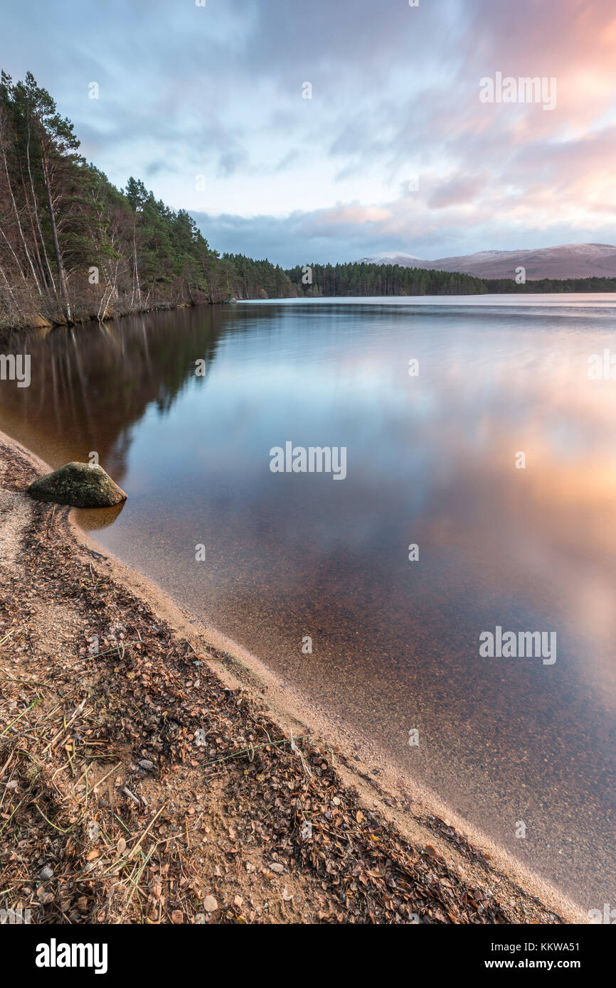 Evening light on Loch Garten in the Cairngorms National Park of ...
