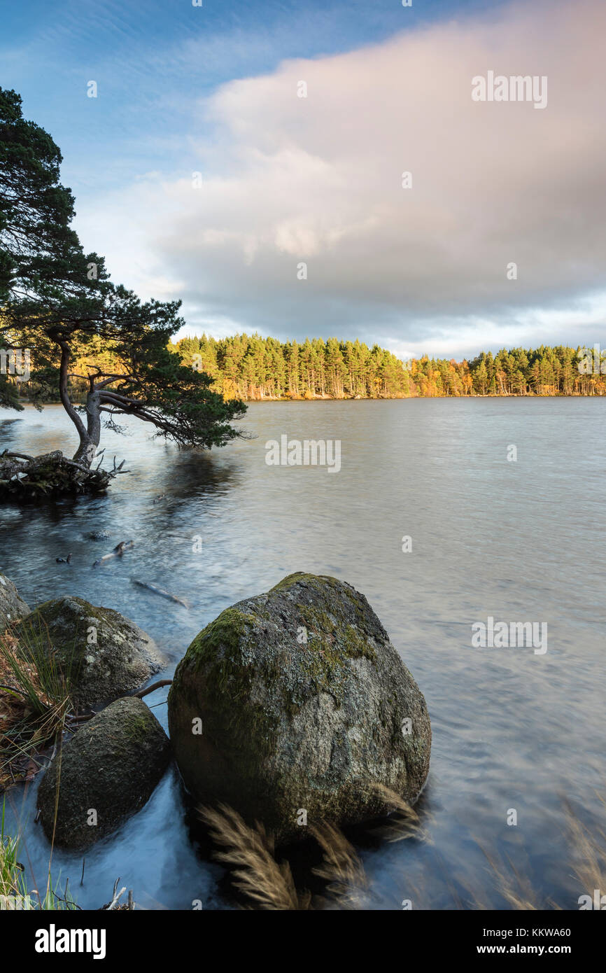 Loch Garten in the Cairngorms National Park of Scotland Stock Photo - Alamy