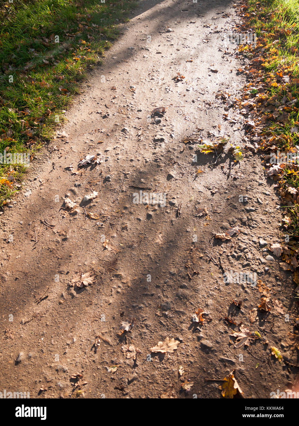 wet walkway path brown floor autumn way walk; essex; england; uk Stock ...