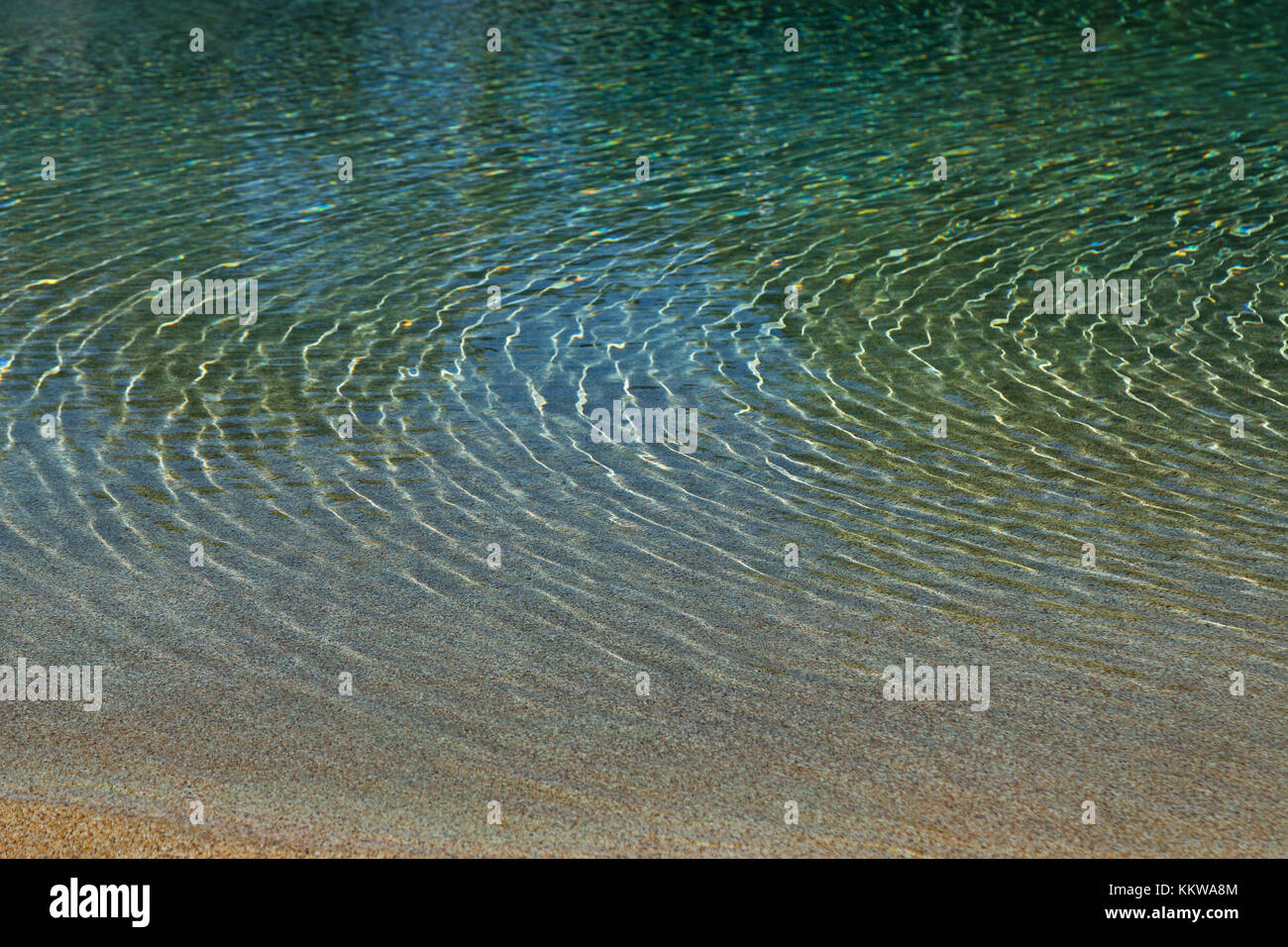 in australia the concept of relax in the clean water near coastline ...