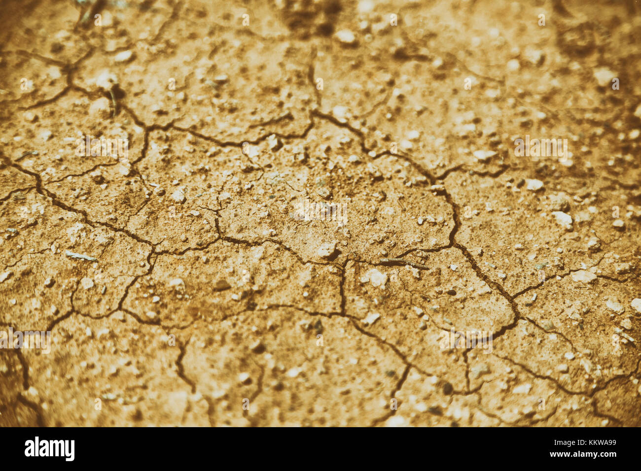 in the desert the dry ground like background texture Stock Photo - Alamy