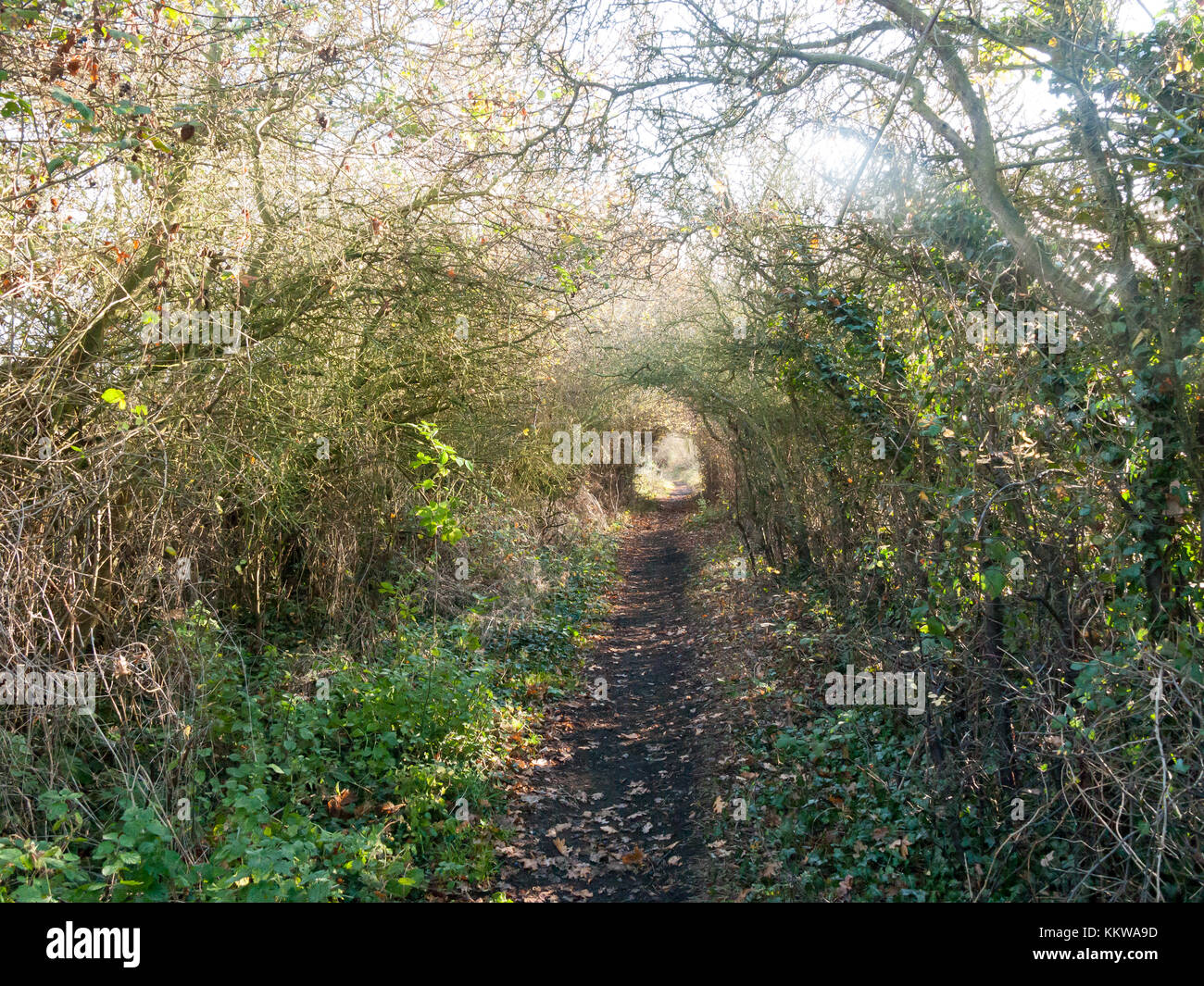 Holloway path uk hi-res stock photography and images - Alamy