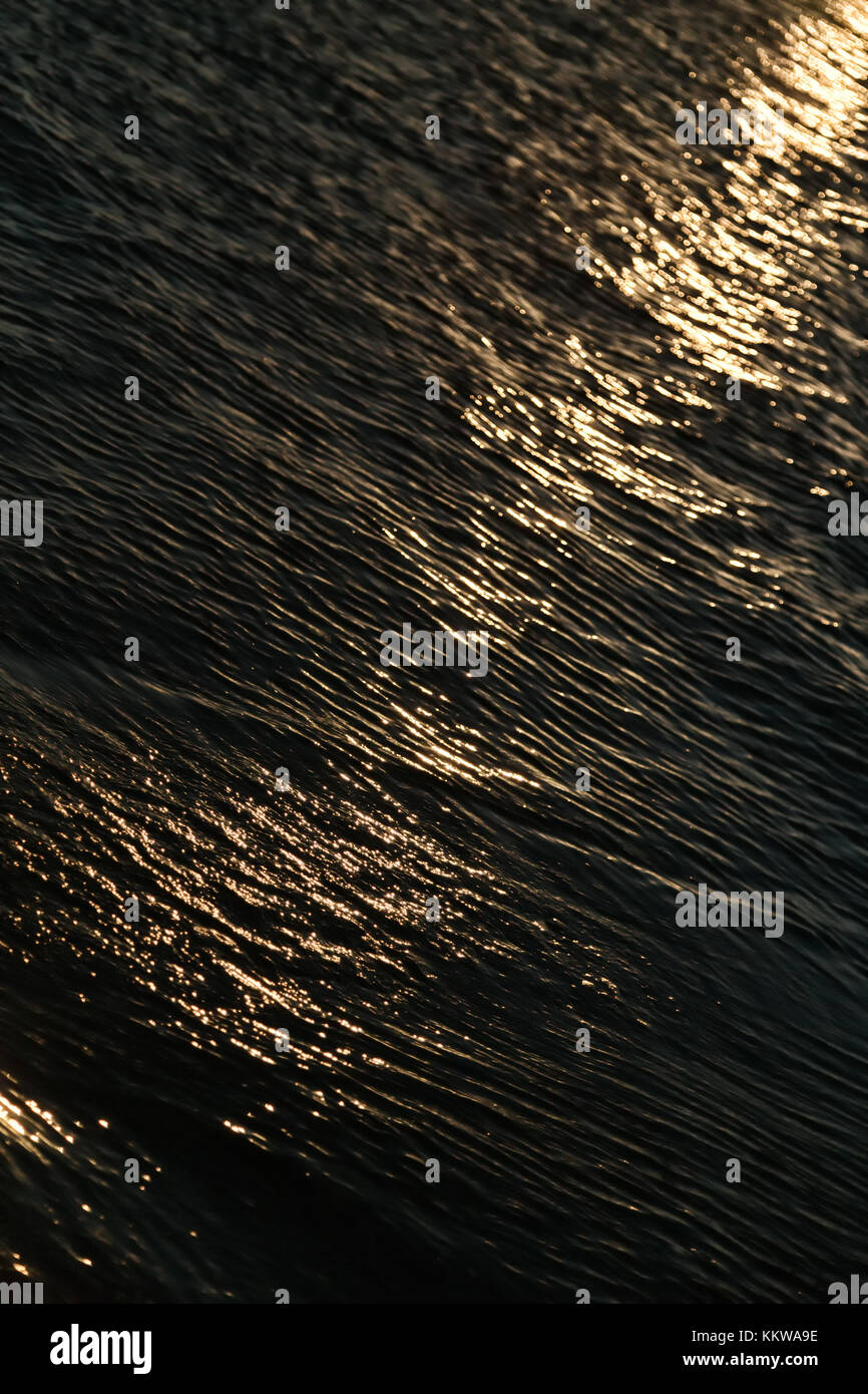 in australia the concept of relax in the sea reflex of the golden sun ...