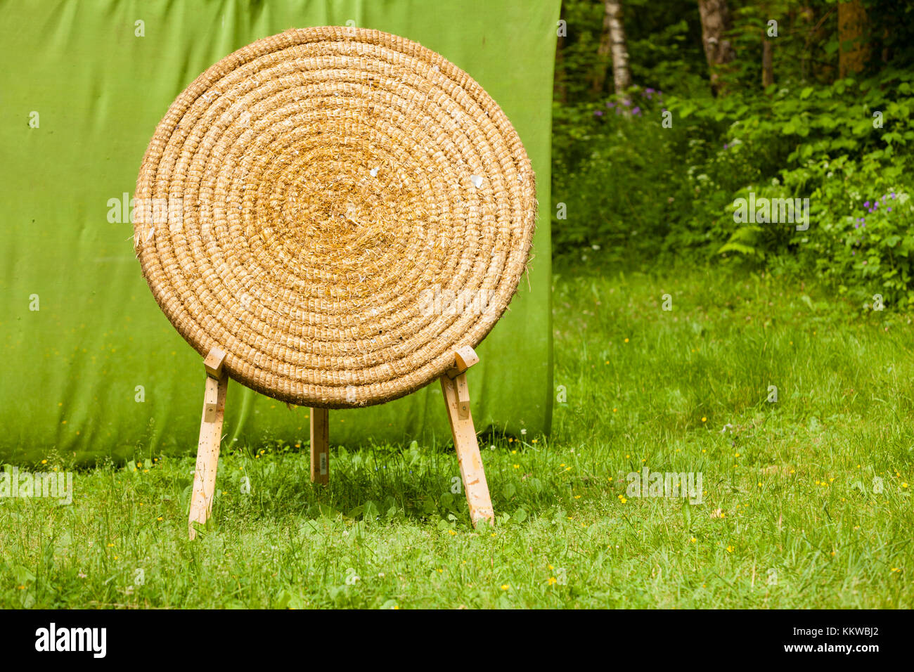 Sport competitions equipment concept. Old fashioned shooting target ...