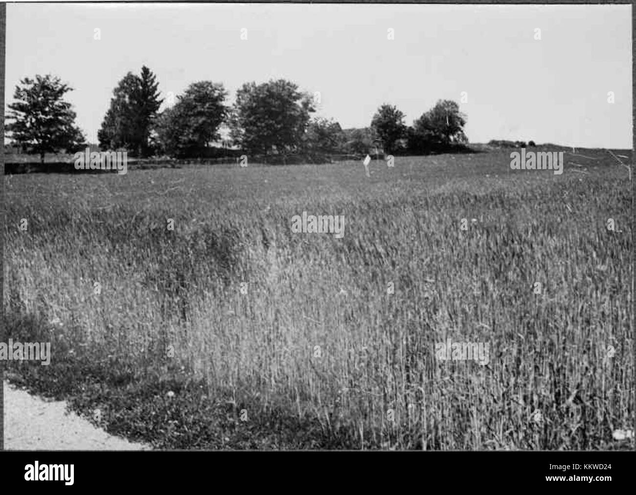 Photograph of the Flisby Church Ruin in Sweden, highlighting its ...