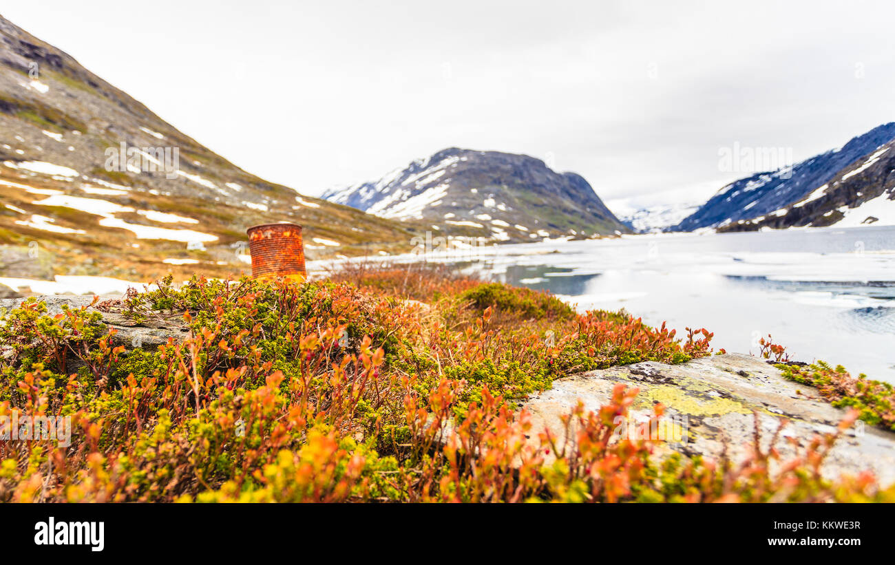 Polluted nature. Old rusty can abandoned on lake shore, beautiful ...