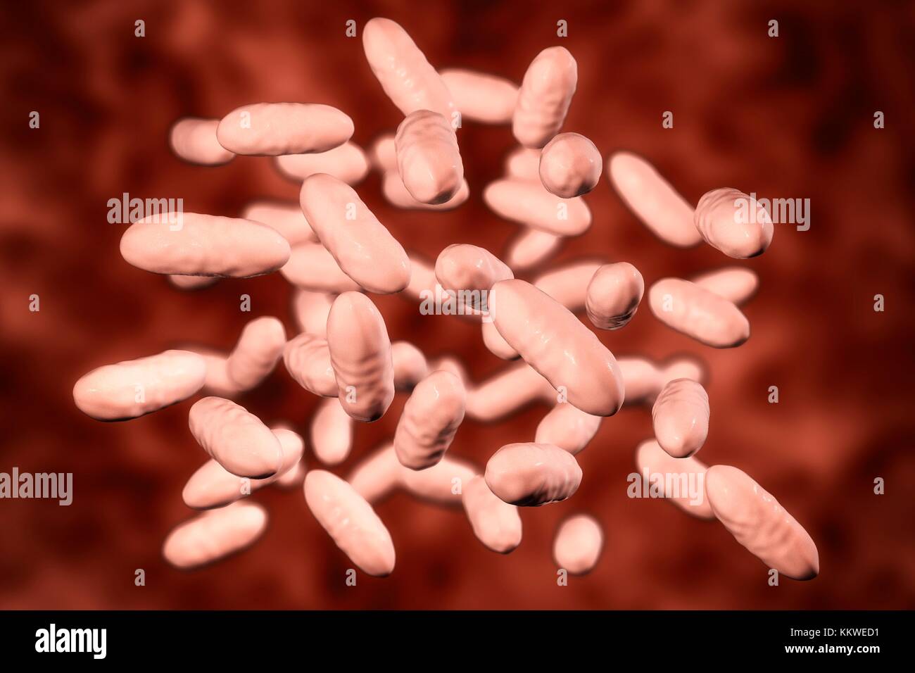 Hacek hi-res stock photography and images - Alamy