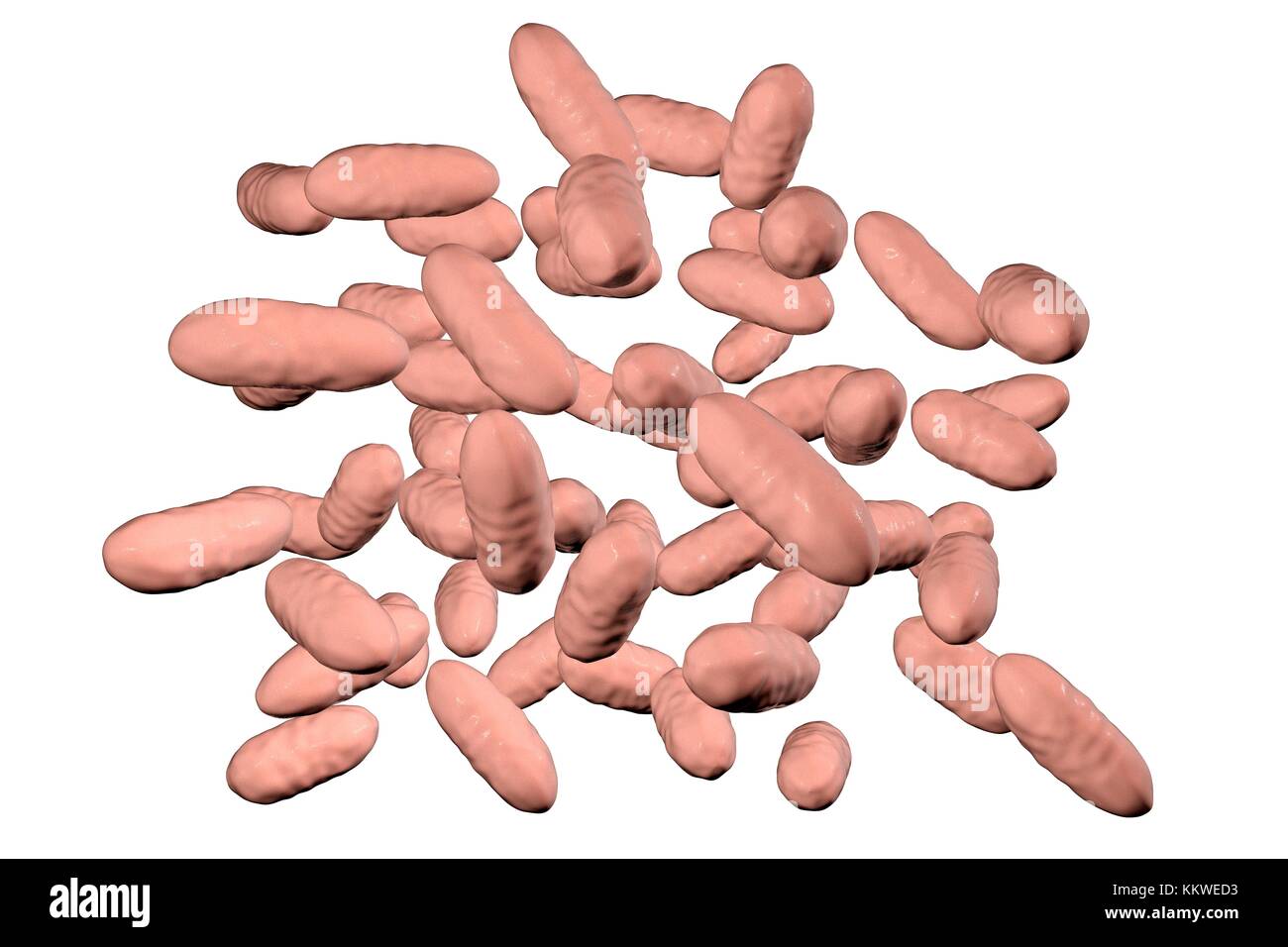 Hacek hi-res stock photography and images - Alamy