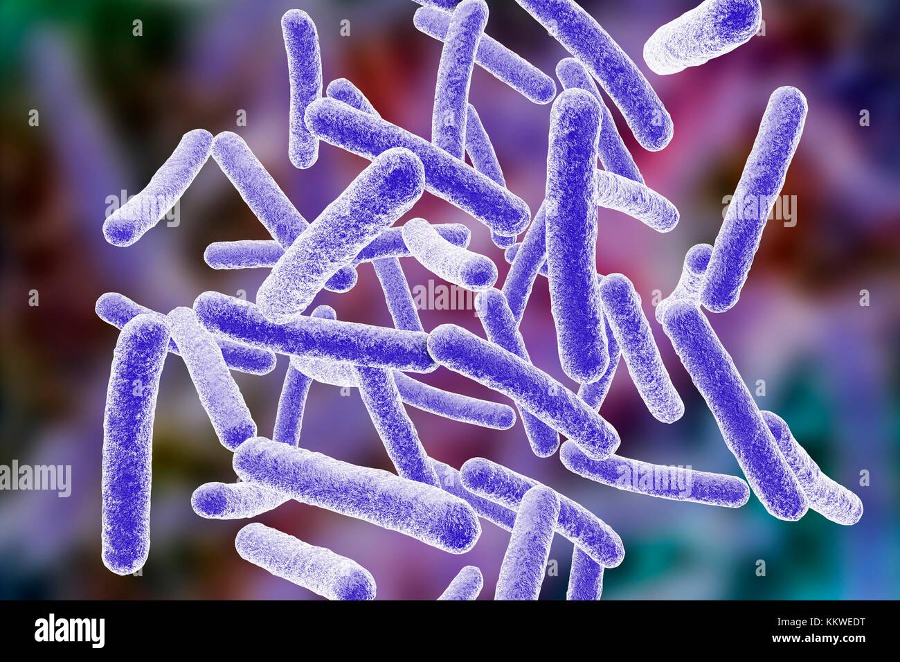 Mycobacterium avium complex hi-res stock photography and images - Alamy