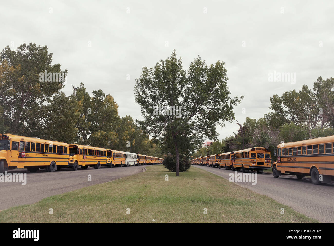 Lined up buses hi-res stock photography and images - Alamy