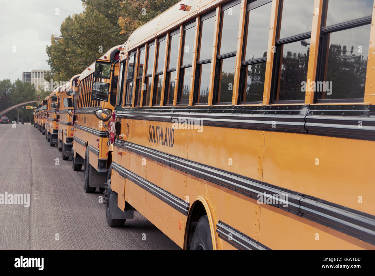 School buses hi-res stock photography and images - Alamy