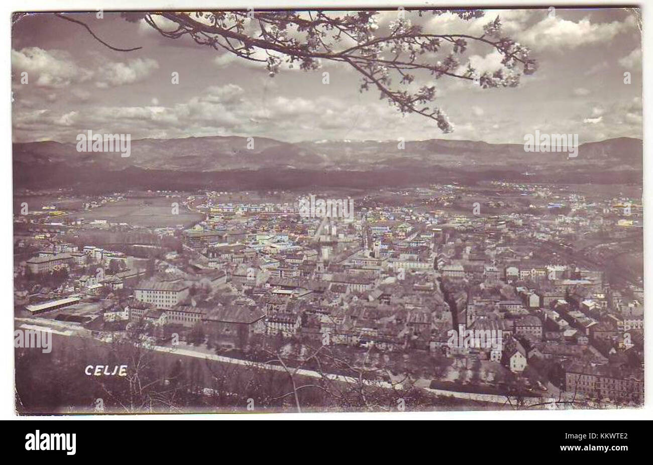 The 1964 postcard of Celje depicts a historical view of the town in ...