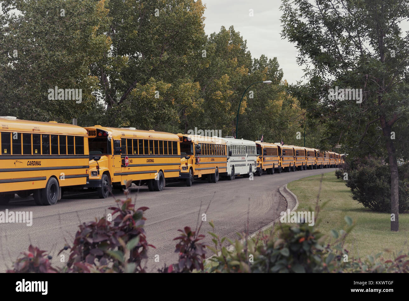 School buses hi-res stock photography and images - Alamy