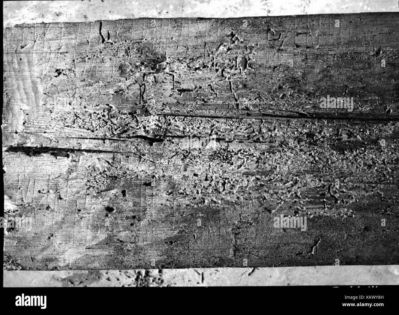 Angerdshestra kyrka, cataloged as KMB 16000200067939, is a Swedish ...