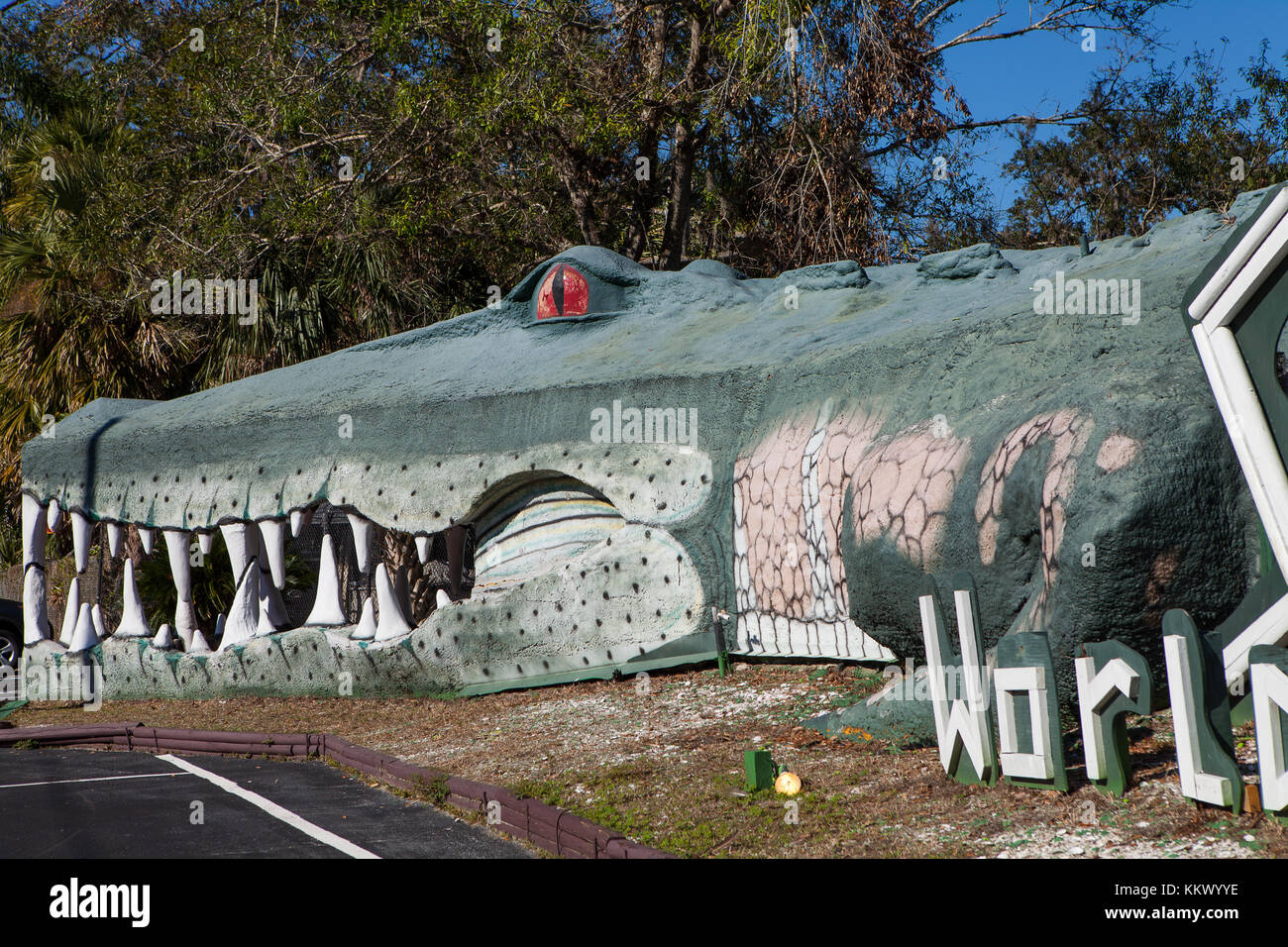 Young alligators in captivity at Jungle Adventures Wildlife Park ...