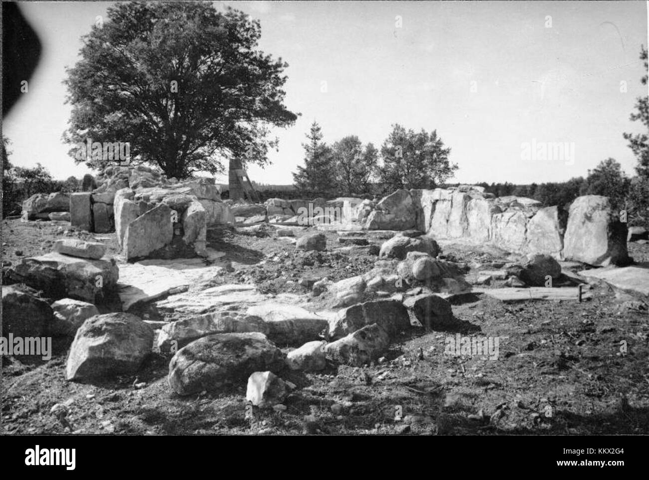 Grovare hi-res stock photography and images - Alamy