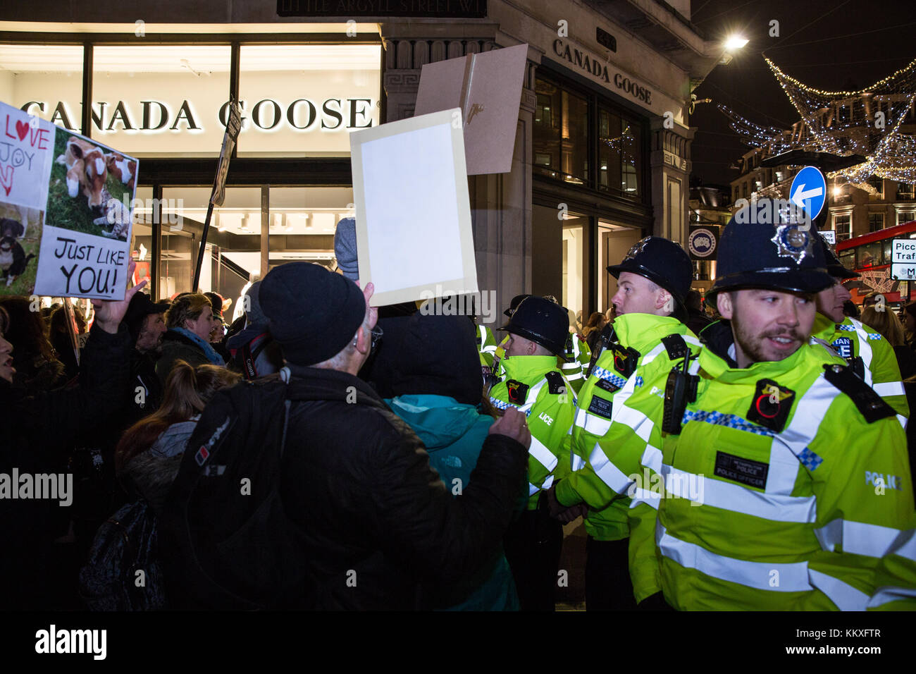 Canada goose campaigners hi-res stock photography and images - Alamy
