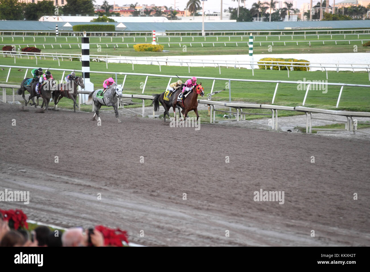 Hallandale, Florida, USA. 2nd December, 2017. Flowers for Lisa with ...