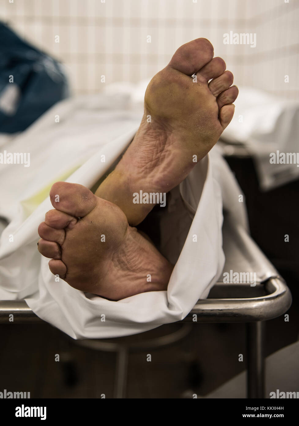 A corpse lies in a cooling chamber at the institute for forensic ...
