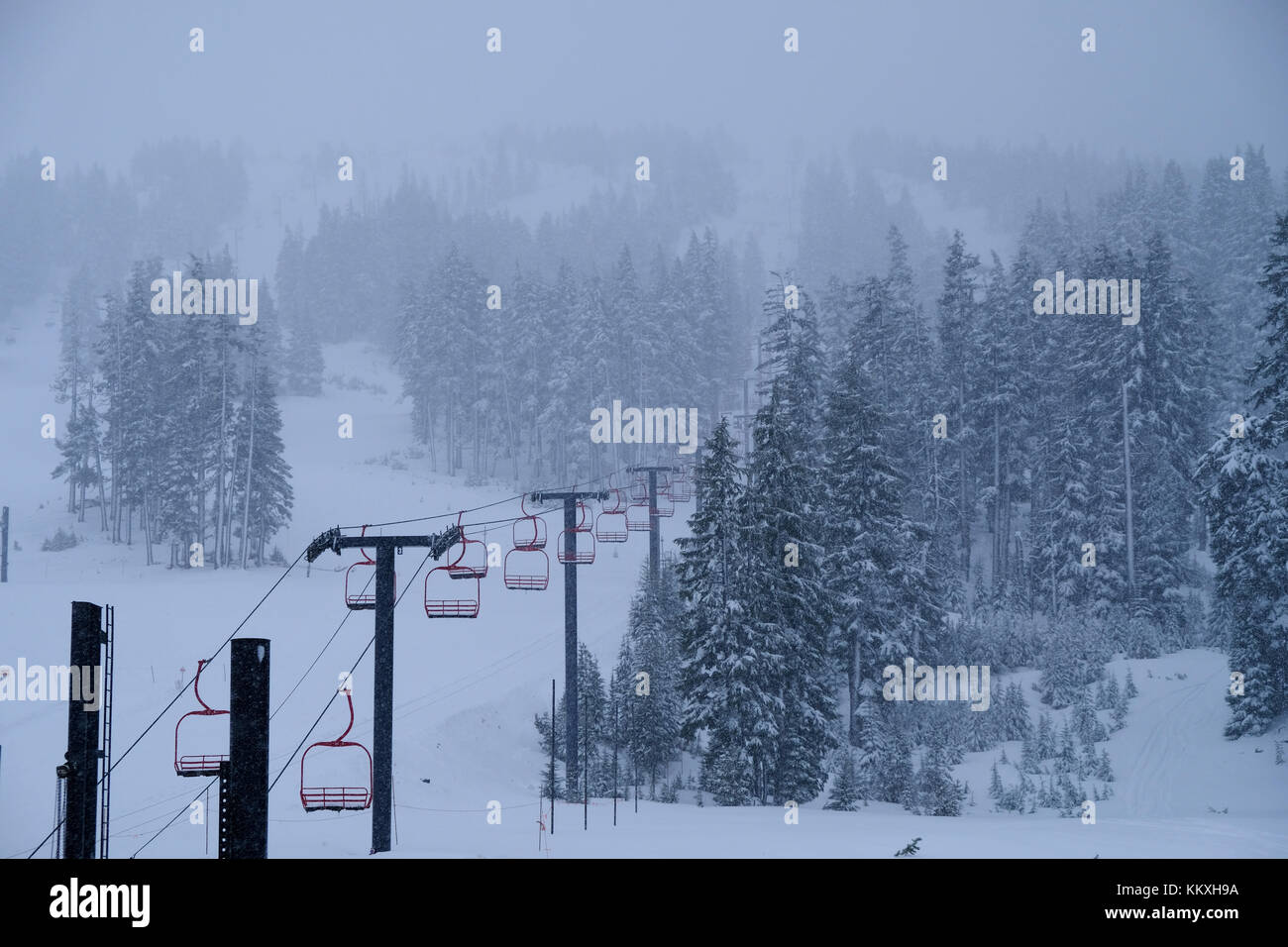 Tree Line In Heavy Snowfall High Resolution Stock Photography and ...