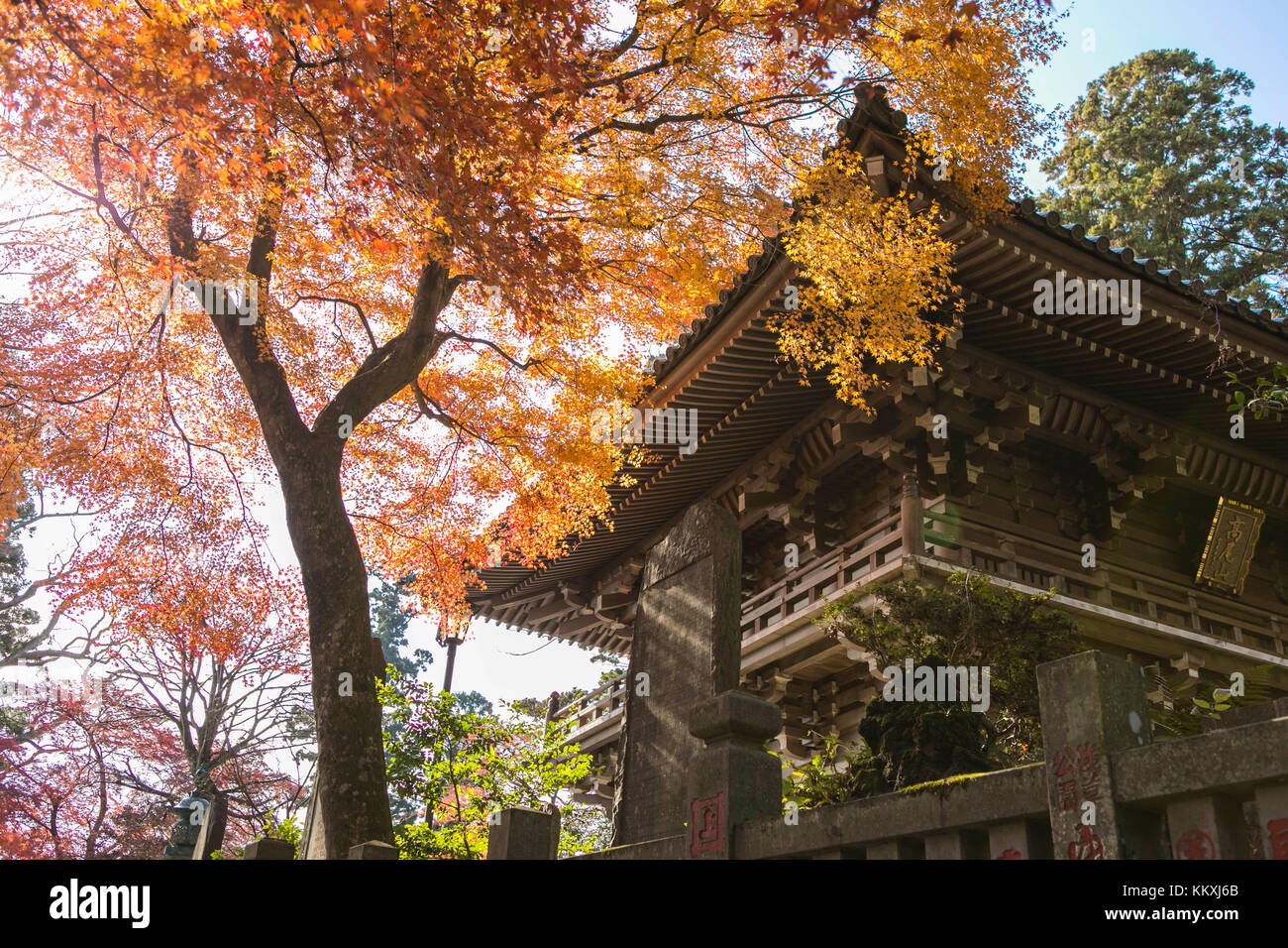 Mount Takao, Japan. 2nd December, 2017. Autumn foliage can still be ...