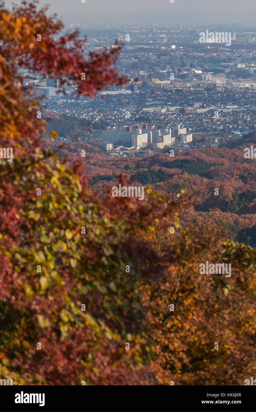 Mount Takao, Japan. 2nd December, 2017. Autumn foliage can still be ...