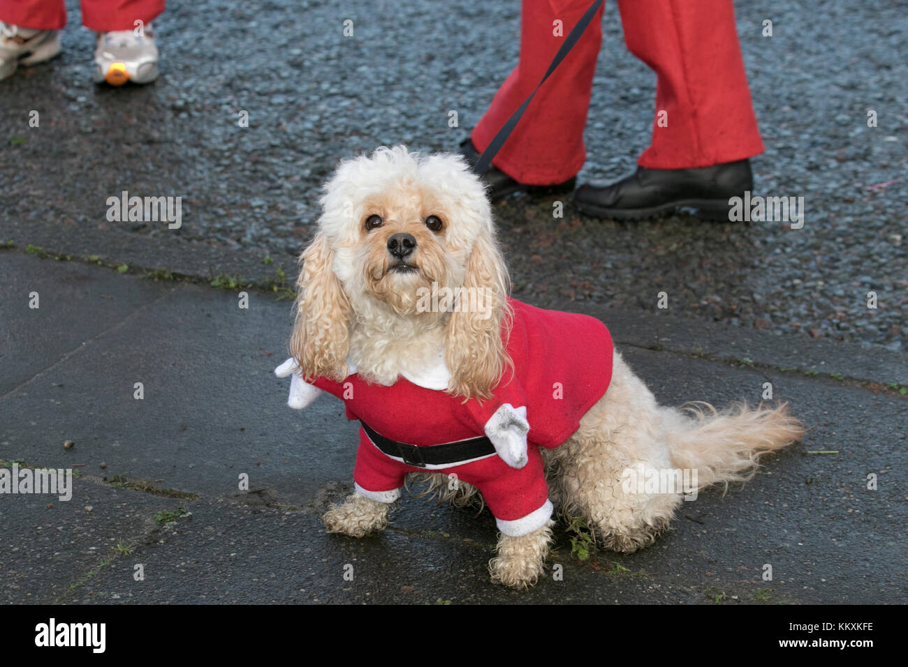 Suits and costumes hi-res stock photography and images - Alamy