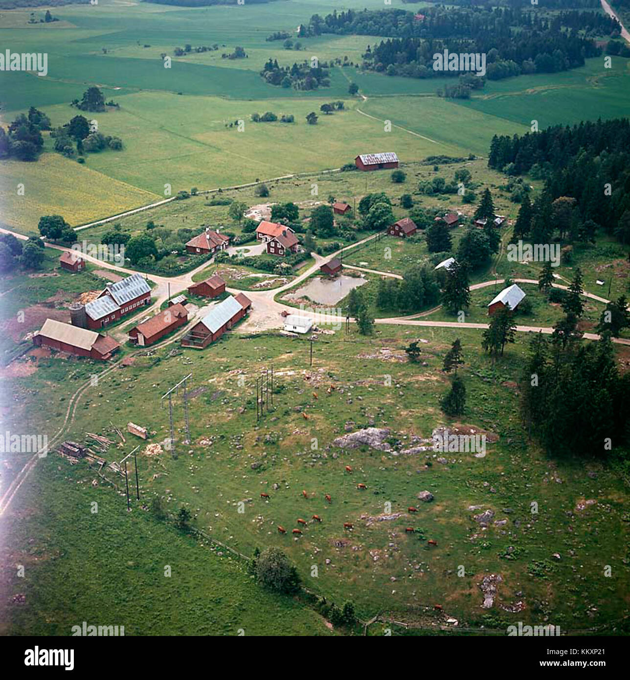 Akalla High Resolution Stock Photography and Images - Alamy