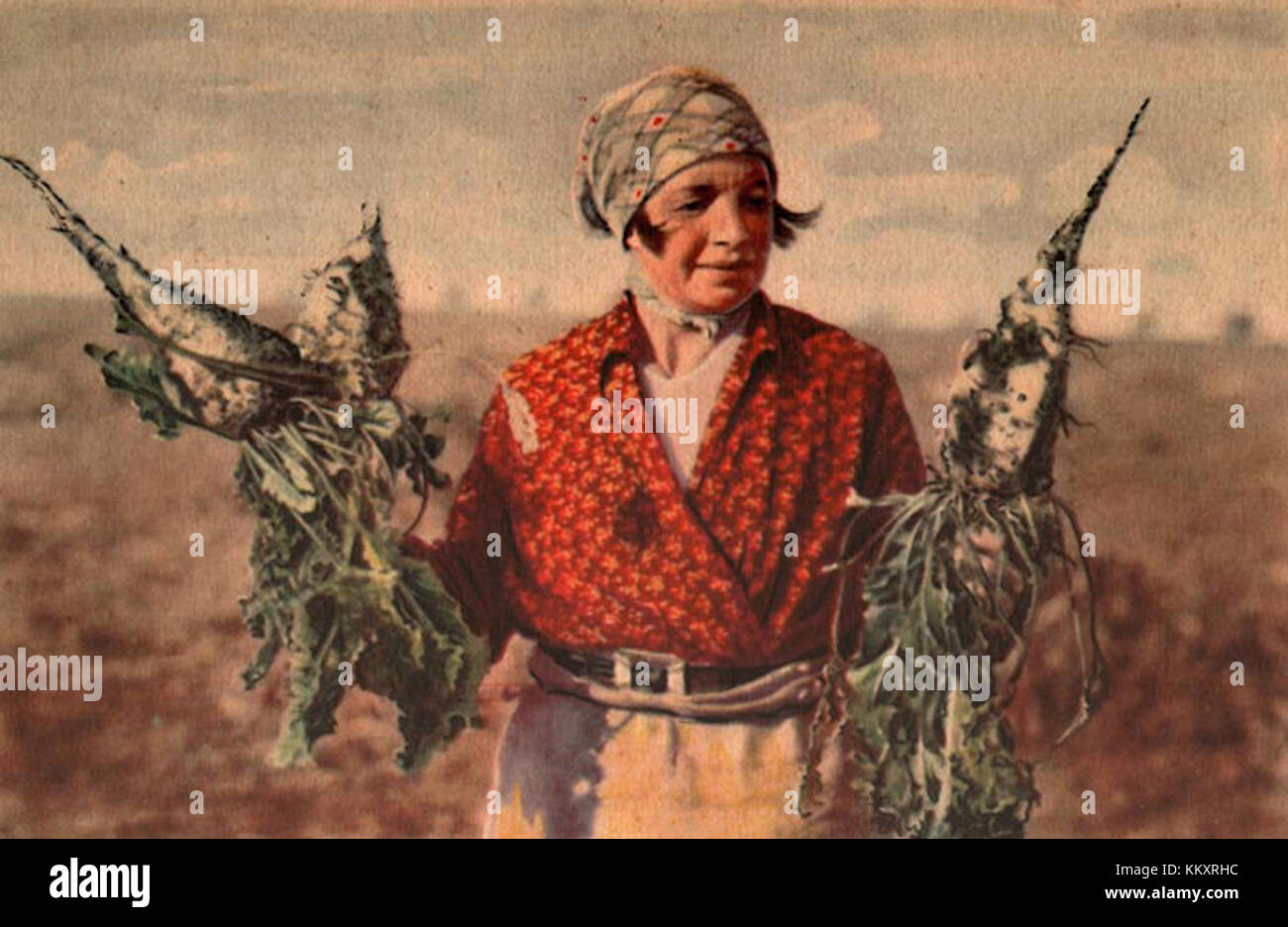 Betor hi-res stock photography and images - Alamy