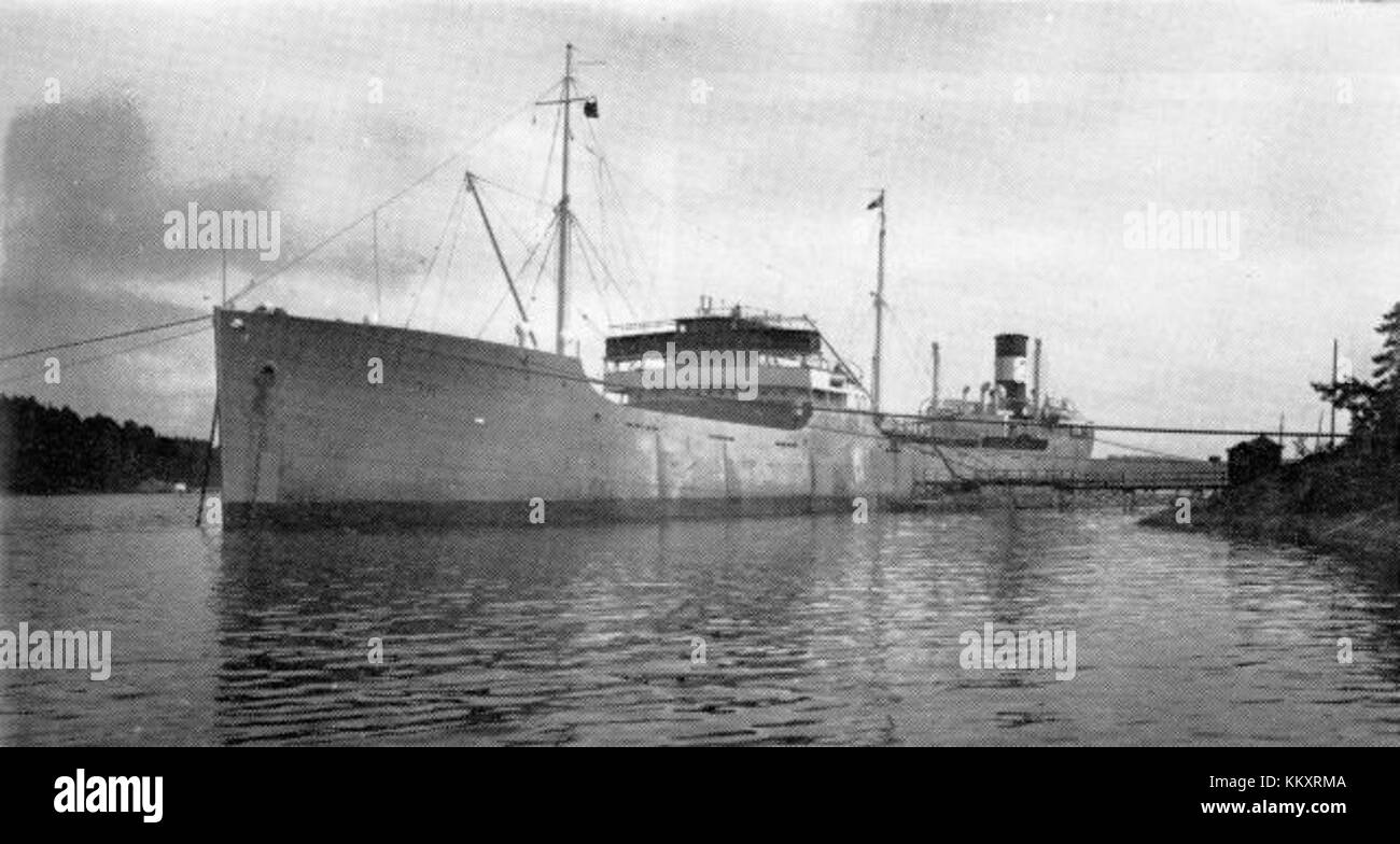 Castor plants Black and White Stock Photos & Images - Alamy