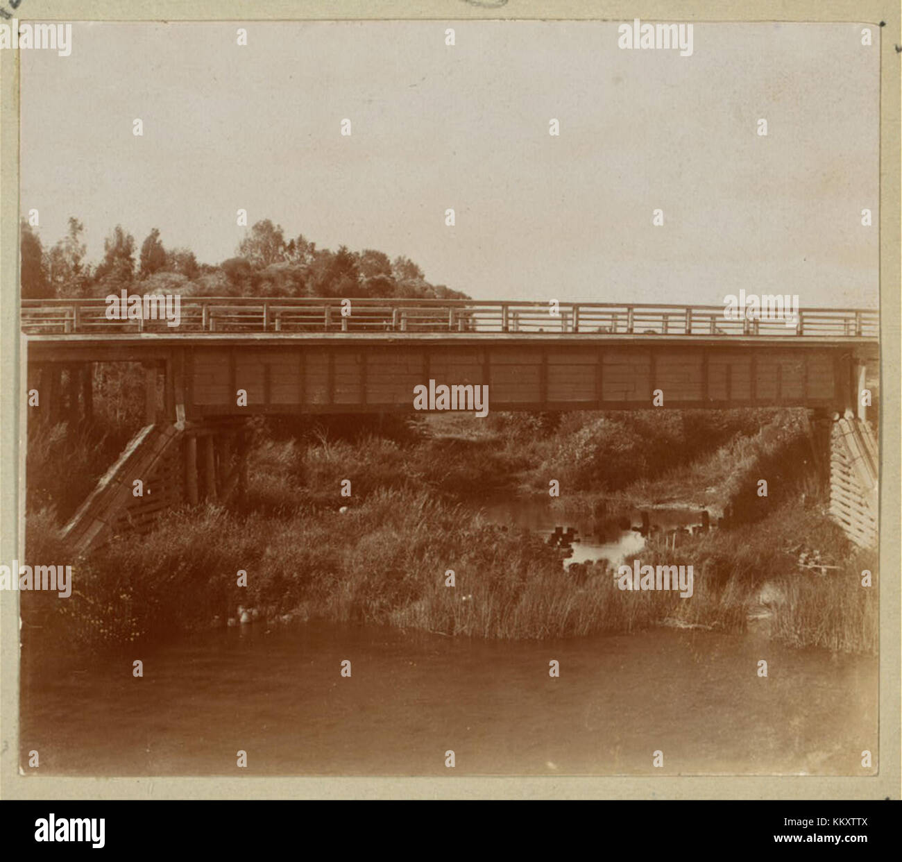 The remains of a French pile bridge over the Koloch River near Gorki ...